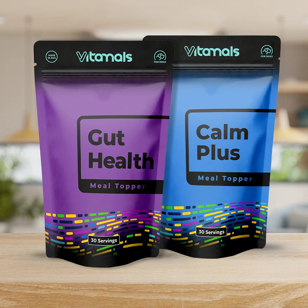Gut Health & Calm Plus Bundle – Vitamals | Pet Health Supplements